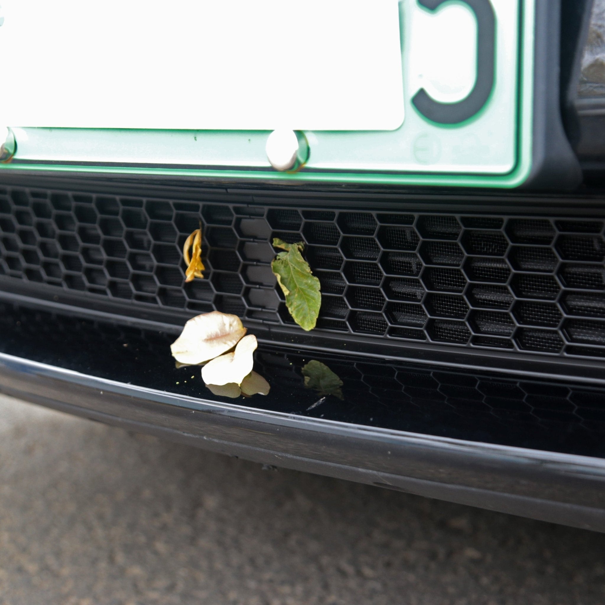 Insect screens for Tesla Model 3